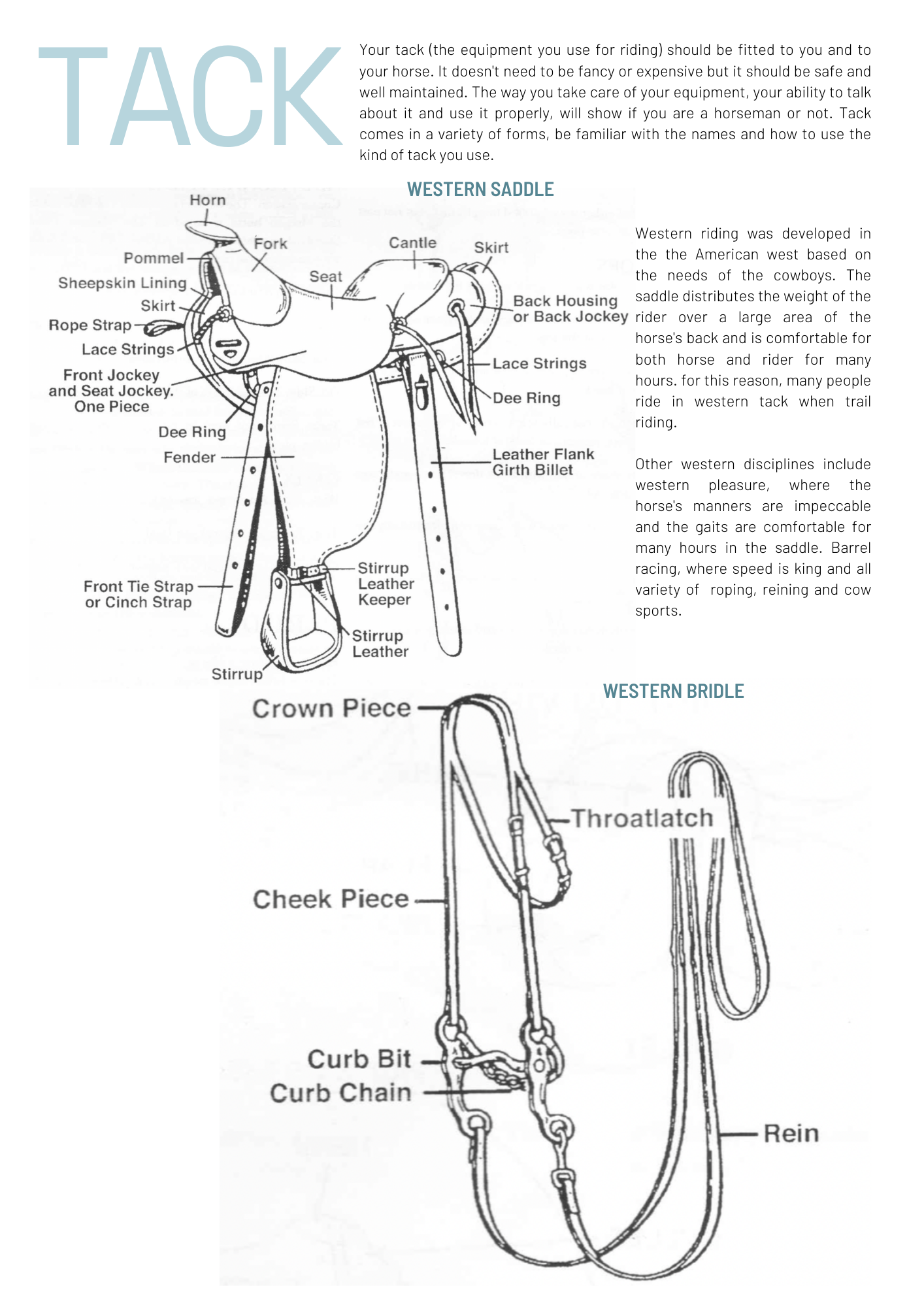 How to Tack Your Horse – Mindset Equitation