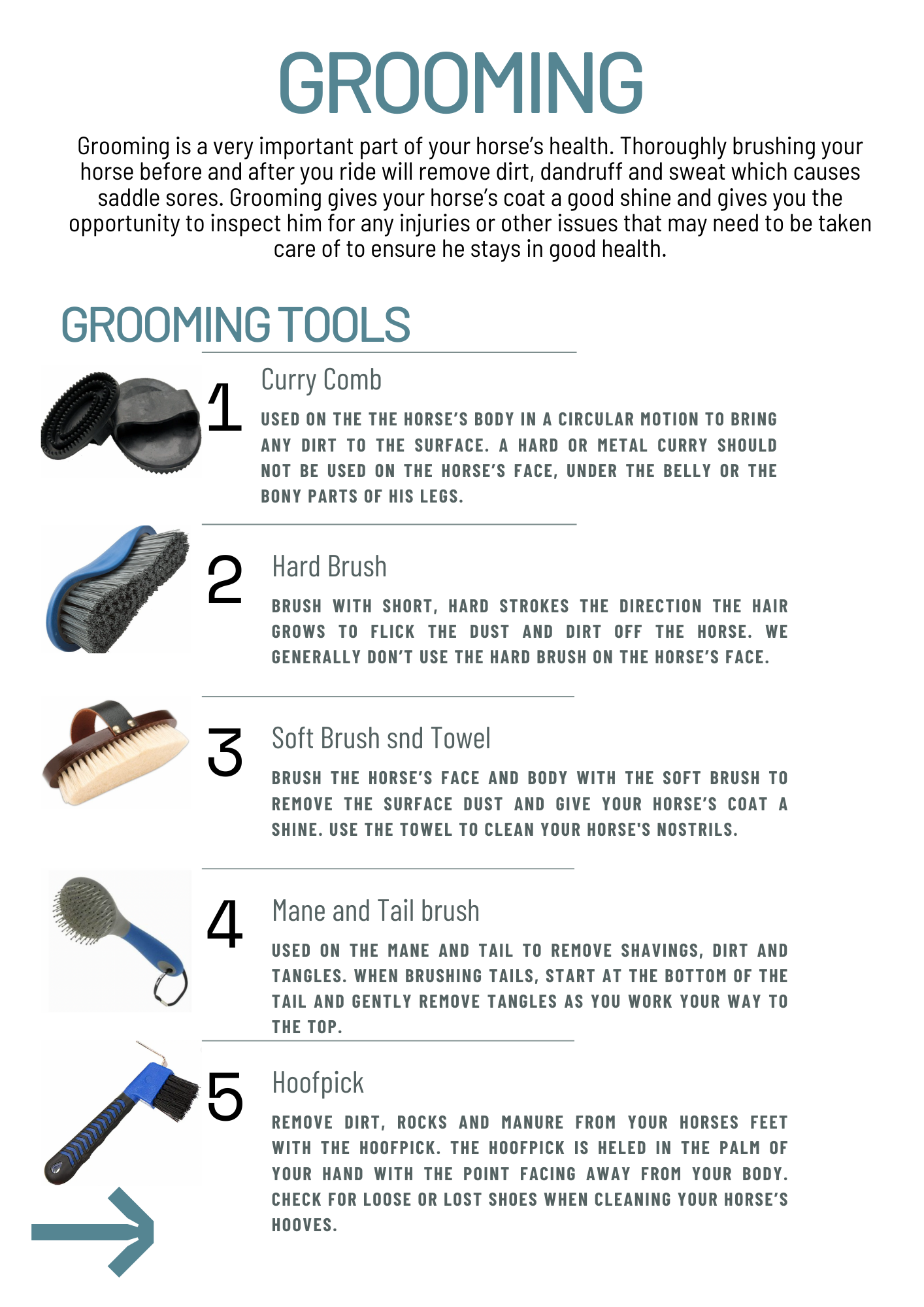 How to Groom Your Horse – Mindset Equitation