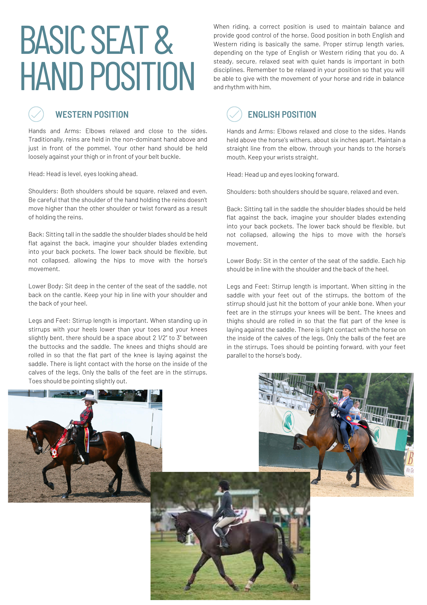 Basic Seat and Hand Position – Mindset Equitation