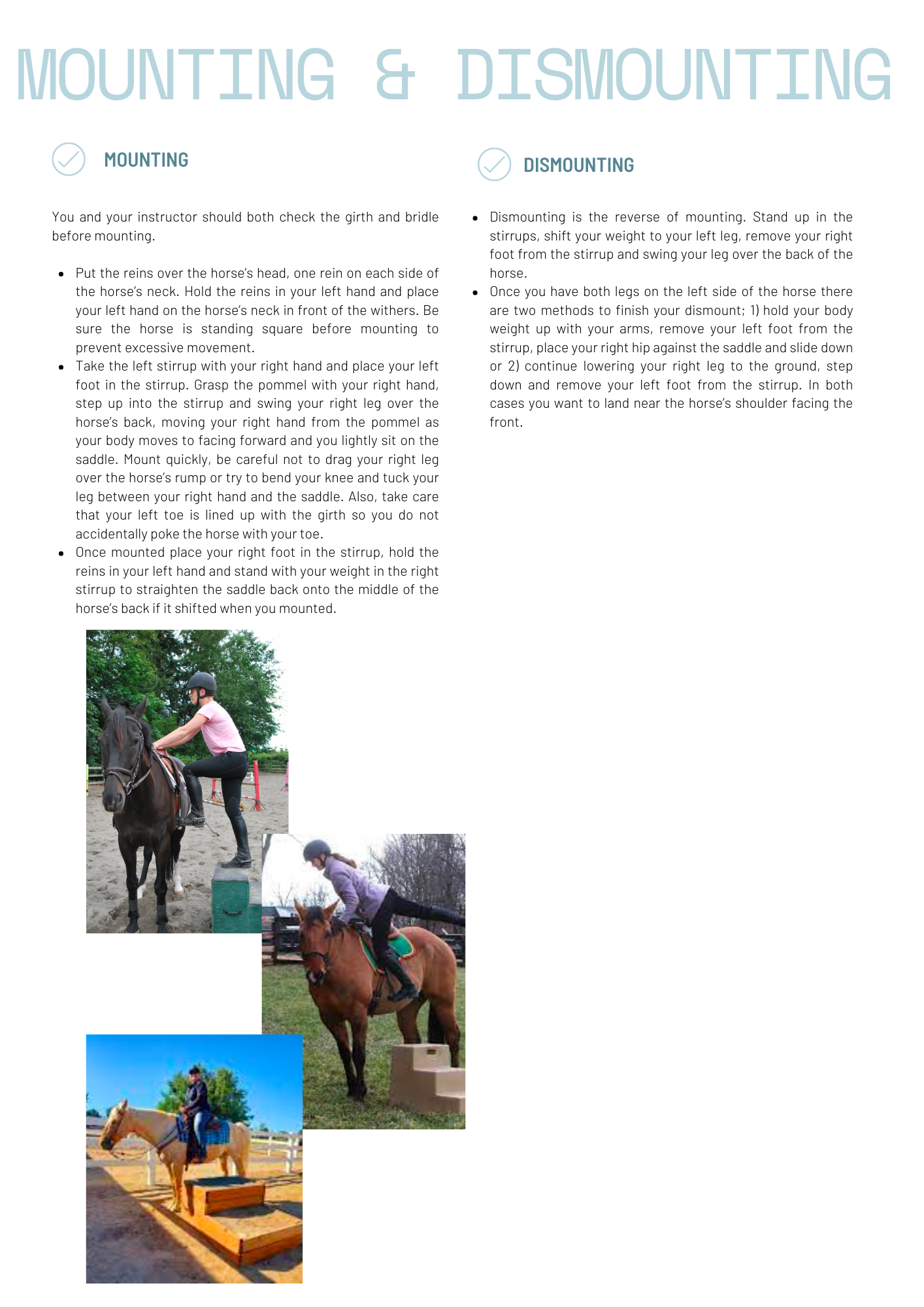 Mounting and Dismounting – Mindset Equitation